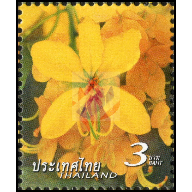 Definitive: The National Identity Set -CHAN WANICH-